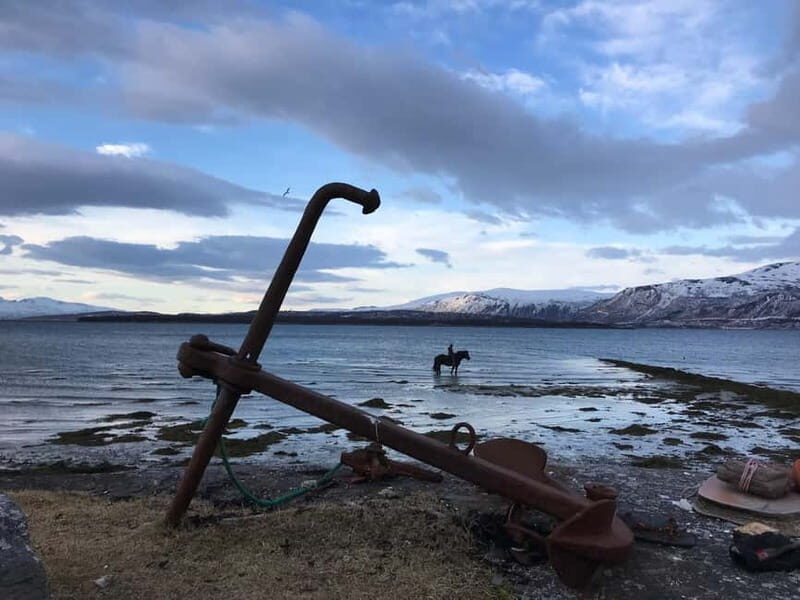 Tromsø: Horseback Riding Tour vinter/summer - What to Expect from Your Horseback Riding Adventure