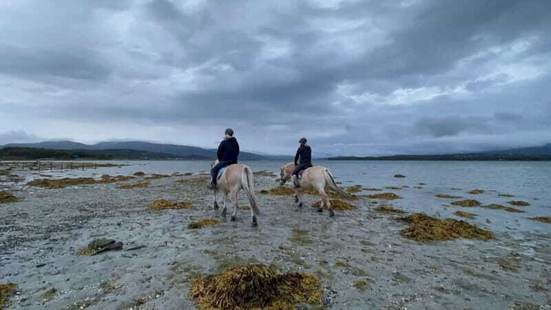 Tromsø: Horseback Riding Tour vinter/summer - FAQs