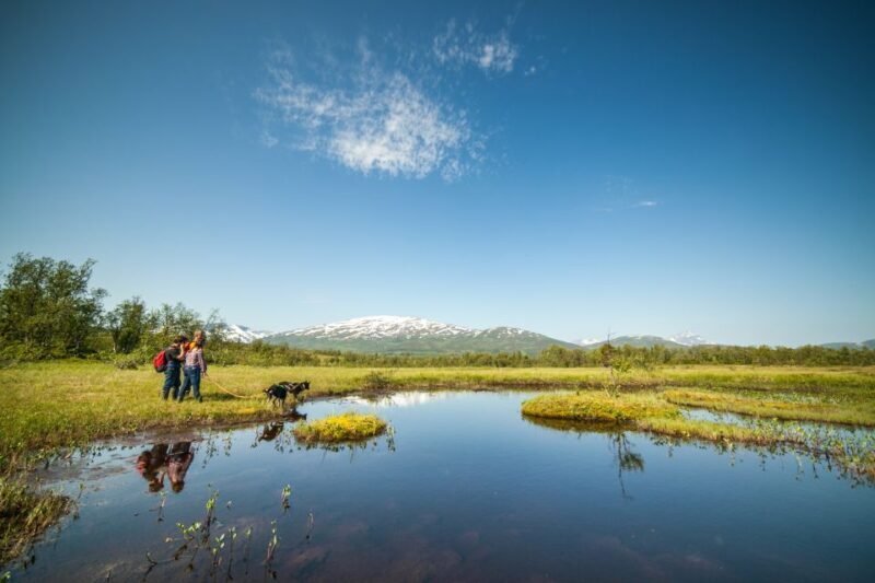 Tromsø: Husky Hike and Puppy Visit with Traditional Lunch - Frequently Asked Questions