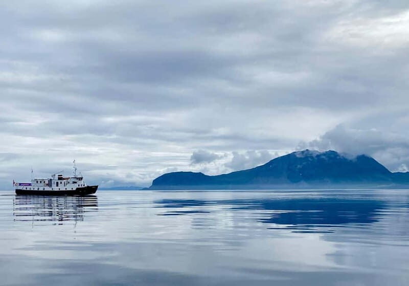 Tromsø: Incredible Cruise of The Outer Fjord - The Sum Up