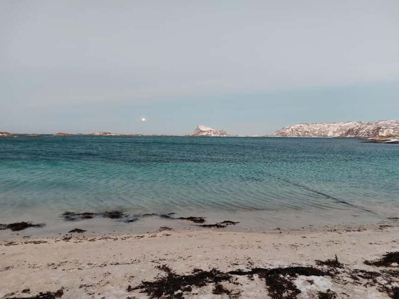 Tromsø: Island of Kvaløya Scenic Sightseeing Minibus Tour - A Detailed Look at the Kvaløya Scenic Minibus Tour