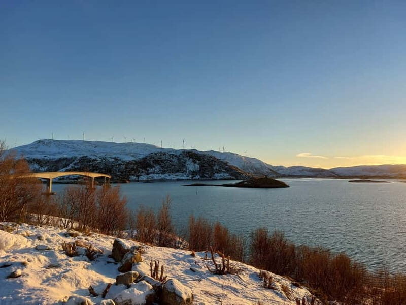 Tromsø: Island of Kvaløya Scenic Sightseeing Minibus Tour - Who Will Love This Experience?