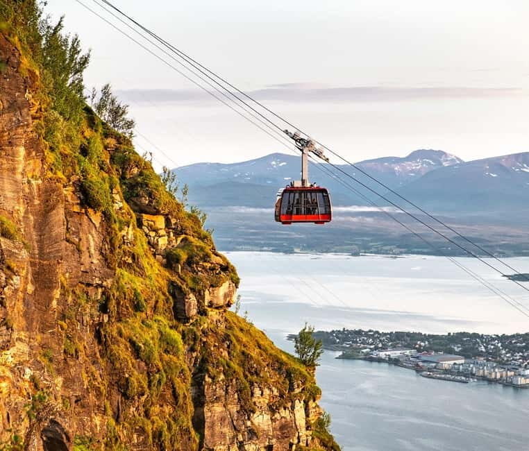 Tromsø: Island Tour with Cable Car Ride (Private or Shared) - Who Will Love This Tour?