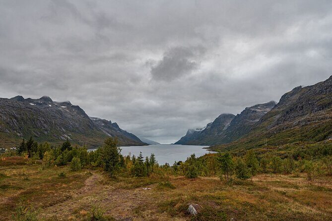 Tromsø: Kvaløya & Sommarøy Guided Tour - Scenic Stops and Walks