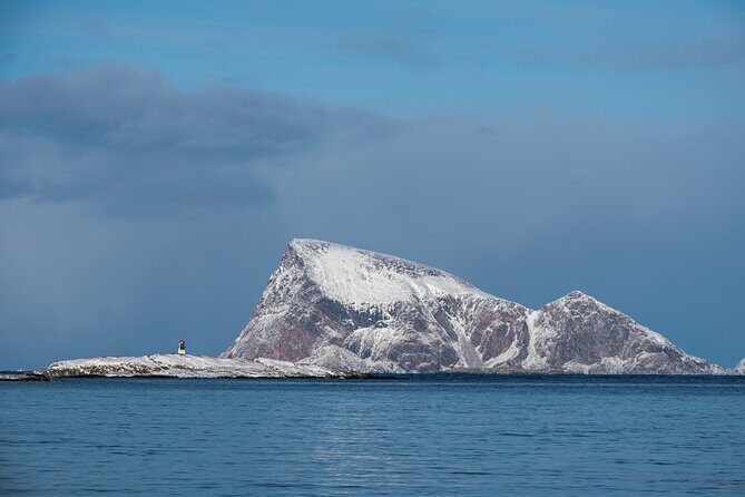 Tromsø: Kvaløya & Sommarøy Guided Tour - Price and Value Analysis