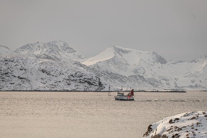 Tromsø: Kvaløya & Sommarøy Guided Tour - Who Is This Tour Best For?
