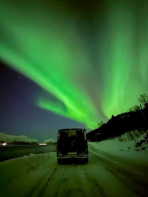 Tromsø: Long Northern Light Tour with Dinner - Who Will Love This Experience?