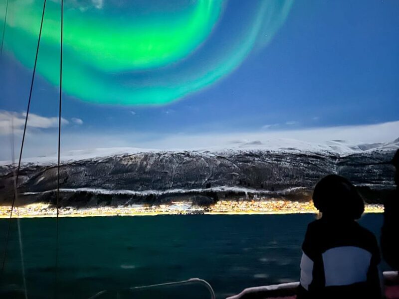 Tromso: Luxury Northern Lights Cruise with Hot Tub & Dinner - Practical Details and Tips