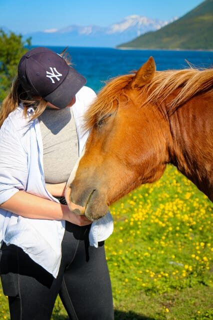 Tromsø: Lyngen Horse Summer Evening Riding Experience - An Intimate, Scenic Night Ride Near Tromsø