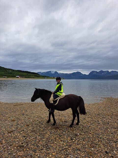 Tromsø: Lyngen Horse Summer Riding Experience - Key Points