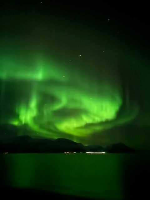 Tromsø: Lyngen Horse Winter Evening Riding Experience - Key Points
