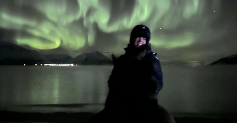Tromsø: Lyngen Horse Winter Evening Riding Experience - What to Expect at the Meeting Point