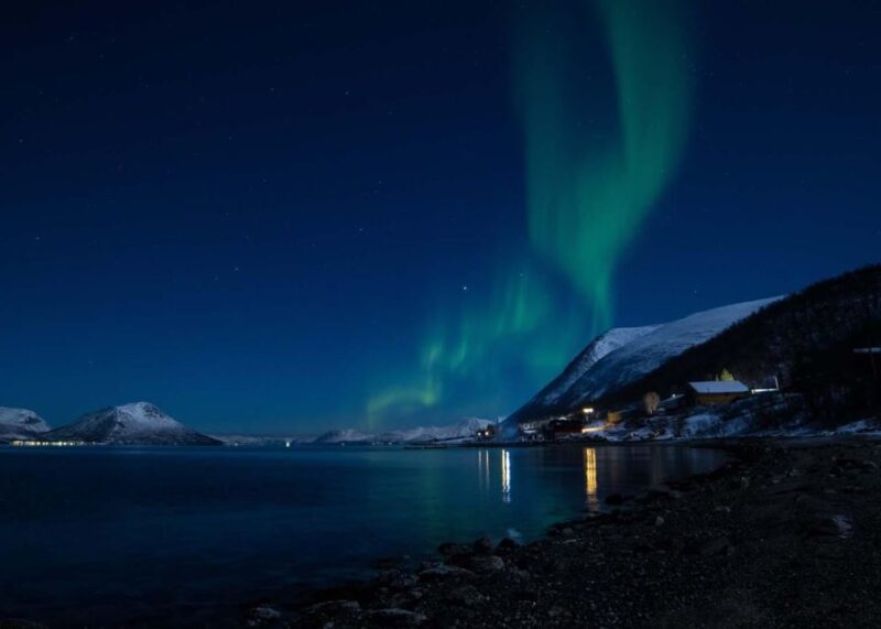 Tromsø: Lyngen Horse Winter Evening Riding Experience - Analyzing the Value