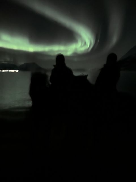 Tromsø: Lyngen Horse Winter Evening Riding Experience - Why This Tour Might Be Perfect for You