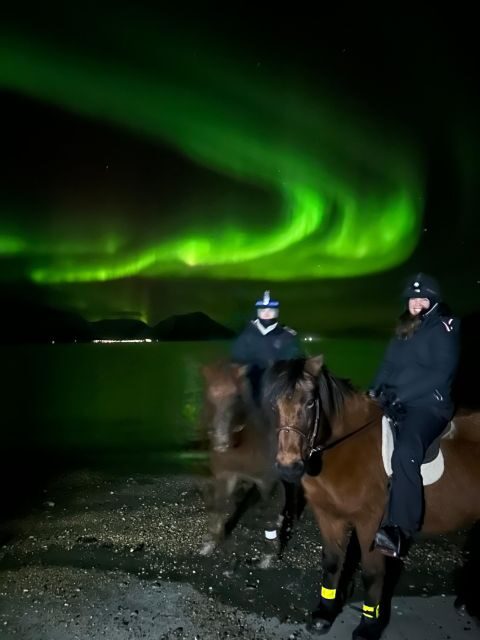 Tromsø: Lyngen Horse Winter Evening Riding Experience - FAQs
