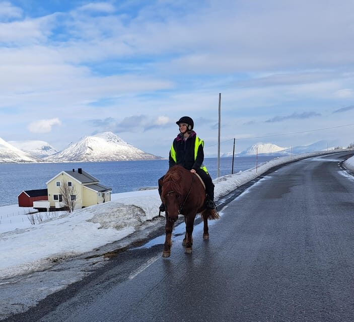 Tromsø: Lyngen Horse Winter Riding Experience - Frequently Asked Questions