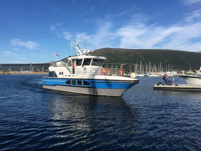 Tromsø: Midnight Sightseeing Cruise All-inclusive - Key Points