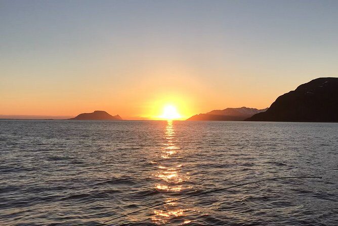 Tromsø: Midnight Sightseeing Cruise All-Inclusive - Key Points