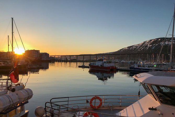 Tromsø: Midnight Sightseeing Cruise All-Inclusive - Introduction: Why a Midnight Sun Cruise?
