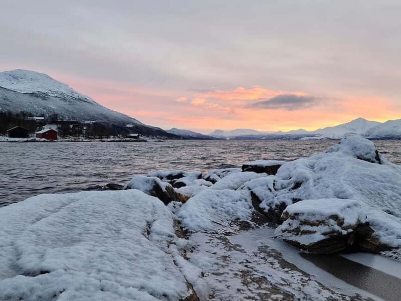 Tromsø: Midnight Sun Adventure with Lunch and Photos - Final Thoughts