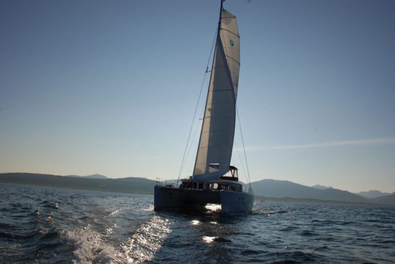 Tromsø: Midnight Sun Cruise in a Luxury Catamaran - What Makes This Experience Special