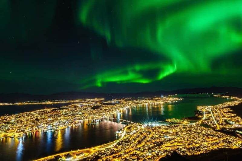 Tromsø: Midnight Sun Or Northern Lights Cruise - Key Points