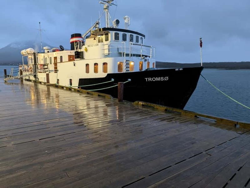 Tromsø: Midnight Sun Or Northern Lights Cruise - An In-Depth Look at the Tromsø Midnight Sun or Northern Lights Cruise