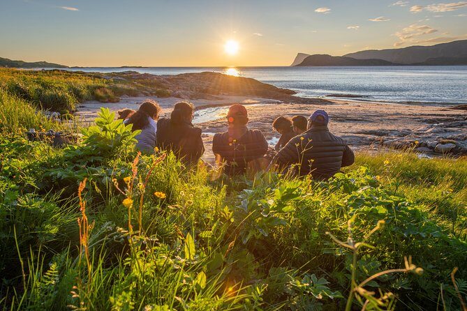 Tromsø: Midnight Sun with Campfire with Wandering Owl - What Travelers Can Expect