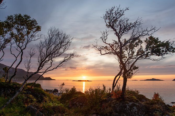 Tromsø: Midnight Sun with Campfire with Wandering Owl - Practical Tips for Travelers