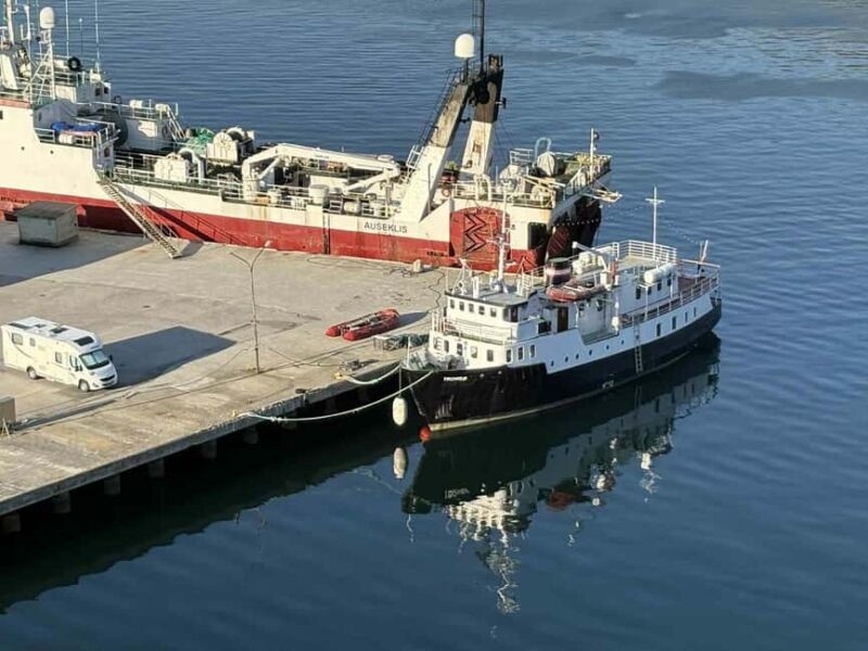 Tromsø: Morning Polar Expedition Cruise to Arctic Archipelag - An In-Depth Look at the Arctic Morning Cruise