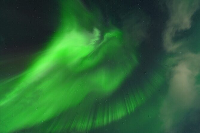 Tromsø: Northern Light tour with free complimentary photos. - Key Points