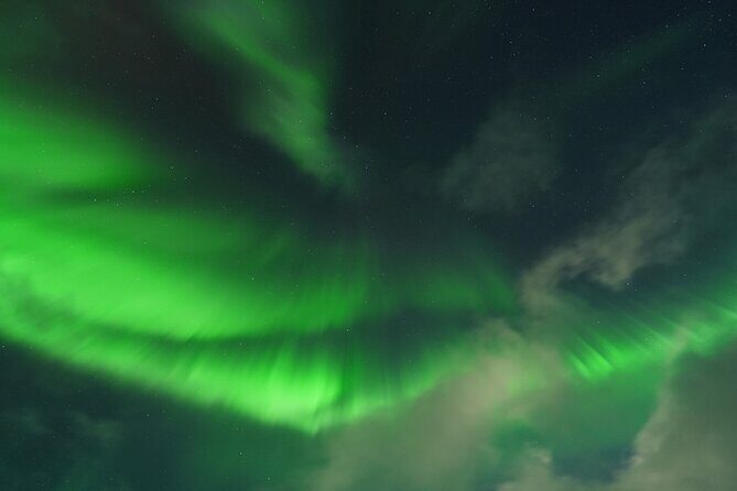 Tromsø: Northern Light tour with free complimentary photos. - Who Is This Tour Best For?