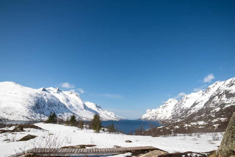 Tromsø: Northern Lights Adventure in Tromsø with Free Photos - FAQs