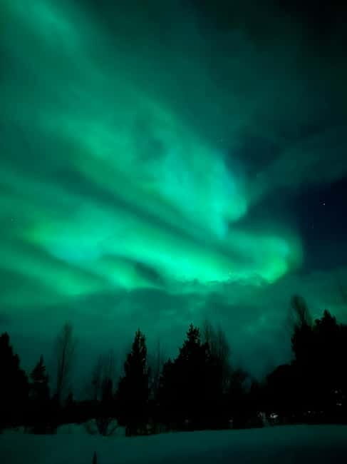 Tromsø: Northern Lights and a Starlit Adventure Tour - What to Expect from the Tromsø Northern Lights and Starlit Adventure Tour