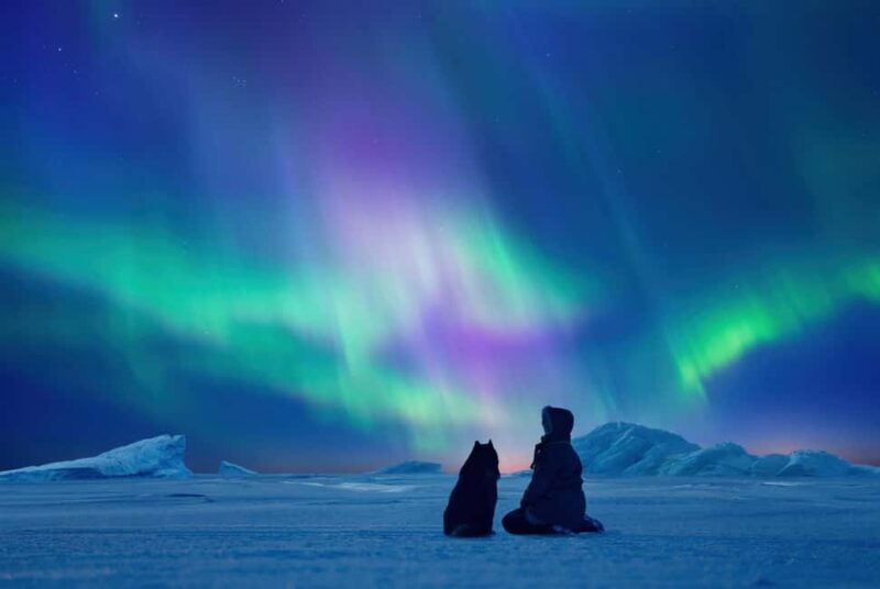Tromsø: Northern Lights by Bus with Professional Photography - The Value of This Tour