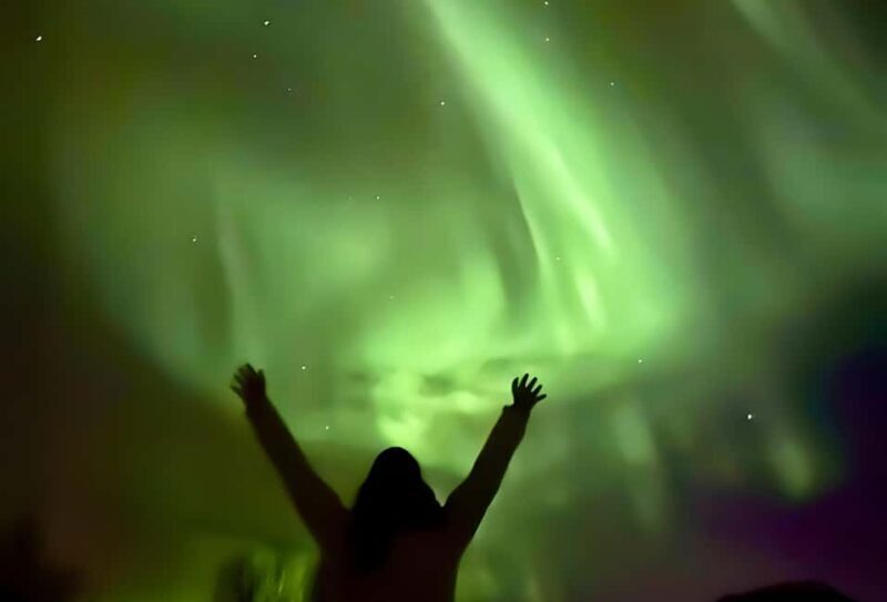 Tromsø: Northern Lights by Bus with Professional Photography - The Experience: Authentic, Comfortable, and Educational