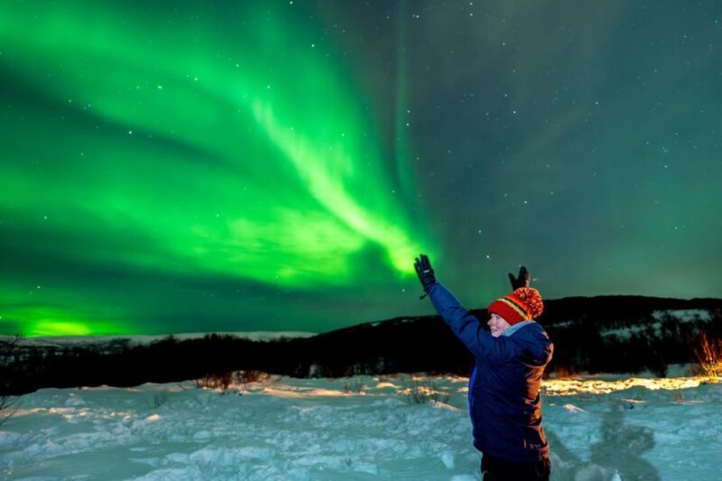 Tromsø: Northern Lights Chase Minibus Tour - Why This Tour Offers Genuine Value
