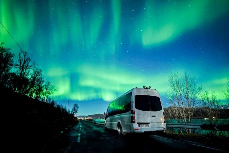 Tromsø: Northern Lights Chase Minibus Tour - What Travelers Say: Authentic Perspectives