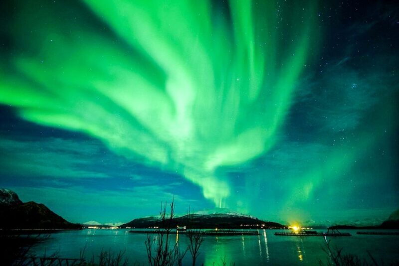 Tromsø: Northern Lights Chase Minibus Tour - Practical Considerations and Tips