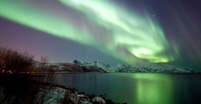Tromsø: Northern Lights Chase with 2nd Chance Guarantee - The Value: More Than Just a Boat Ride