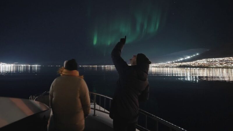 Tromsø: Northern Lights Chase with 2nd Chance Guarantee - Who Will Love This Tour?