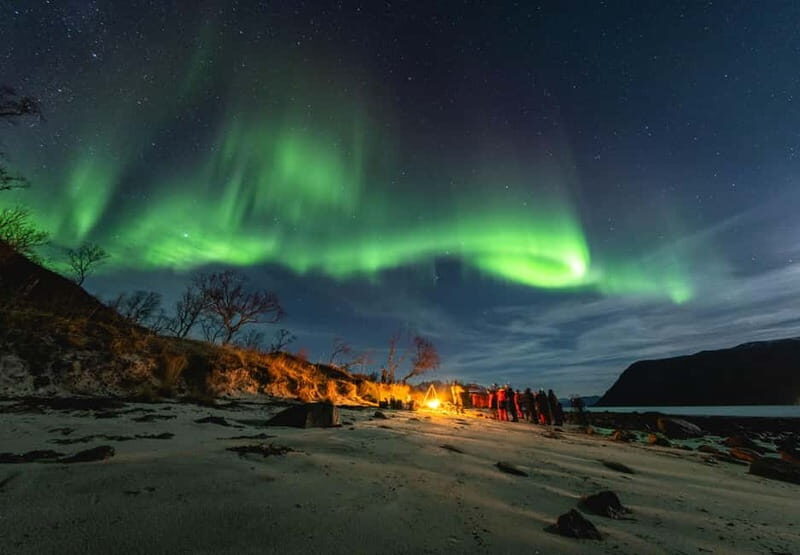 Tromsø: Northern Lights Focus Tour, German/English, minibus, meal - Key Points