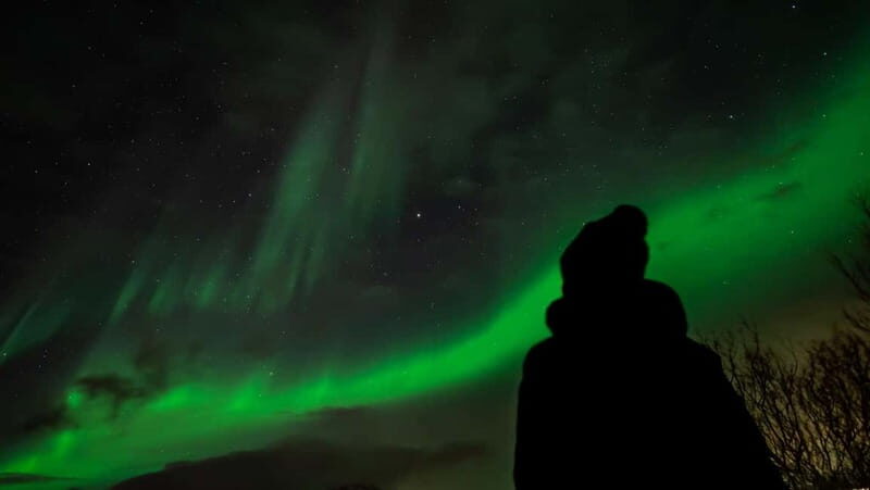 Tromsø: Northern Lights Focus Tour, German/English, minibus, meal - Transportation and Group Size