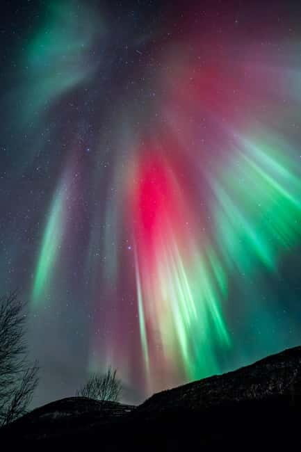 Tromsø: Northern Lights Focus Tour, German/English, minibus, meal - Food and Comfort