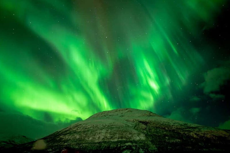 Tromsø: Northern Lights Focus Tour, German/English, minibus, meal - The Photography and Souvenir Photos