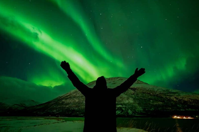 Tromsø: Northern Lights Focus Tour, German/English, minibus, meal - Value for Money and Cost