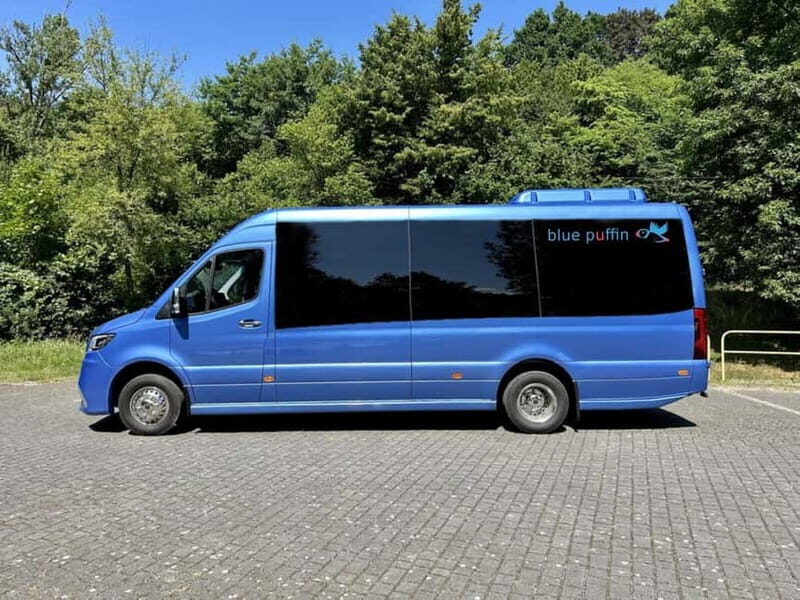 Tromsø: Northern Lights Focus Tour, German/English, minibus, meal - Considerations and Tips