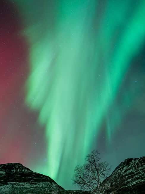 Tromsø: Northern Lights Focus Tour, German/English, minibus, meal - Who This Tour Is Best For