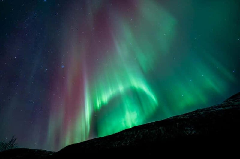 Tromsø: Northern Lights Focus Tour, German/English, minibus, meal - FAQs