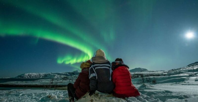 Tromsø: Northern Lights Guided Bus Tour - Key Points